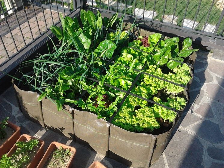 Humus Bokashi concime vegetale - Emipiace